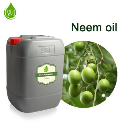 Cina Olio pressato a freddo organico puro privato dell'etichetta 100% Neem per le piante in vendita
