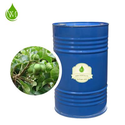 Cina Olio pressato a freddo organico puro privato dell'etichetta 100% Neem per le piante in vendita