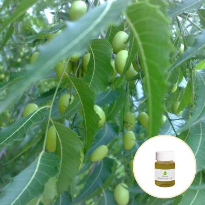 Cina Olio pressato a freddo organico puro privato dell'etichetta 100% Neem per le piante in vendita