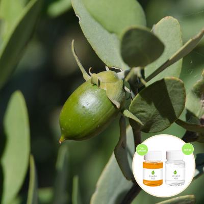 Cina L'olio di jojoba organico pressato a freddo per cura di pelle nutrisce i capelli in vendita