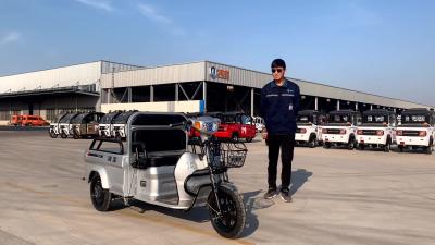 China CCC approved folding electric passenger leisure tricycle 350w 500w 48v for sale
