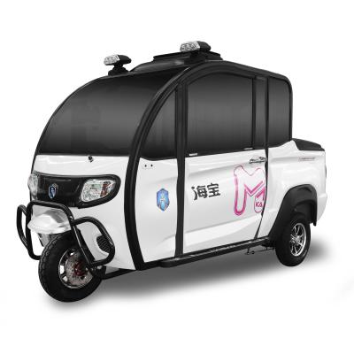 China Electric Bicycle Tricycle Bike 3 Wheel Adult Max Custom Body Motor China Power Battery Time for sale