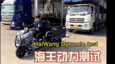 China chinese adult tricycles enclosed/electric tricycles/ three-wheeled trucks for sale
