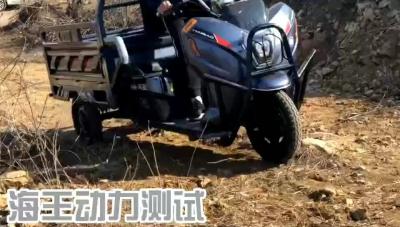 China China's brand new powerful three wheel electric tricycle with strong pulling capacity and large space for sale