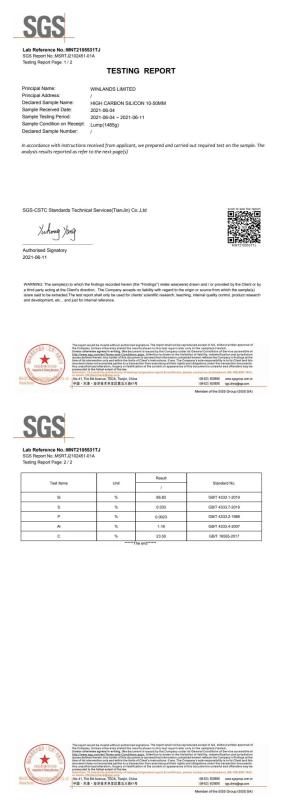 TESTING REPORT - Winlands limited