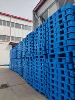 China Storage Logistics Solution Heavy Duty Reversible Plastic Pallet with Customized Logo for sale