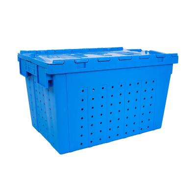 Cina Supermercato Scatole di plastica per la confezione accettata OEM ODM Cassa per il traffico di trasporto con maglia in vendita