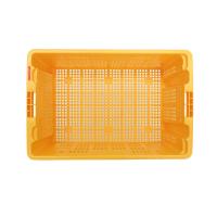 China Customized Logo Tourtop Plastic Foldable Collapsible Pallet Crate for Logistic Storage for sale