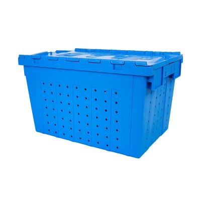 China Logotipo personalizado Container de mudança de volume de negócios de plástico e caixa para logística à venda
