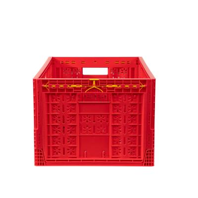 Cina Cesto di plastica per ortaggi e frutta a forma di maglia pieghevole e risparmiatore di spazio in vendita