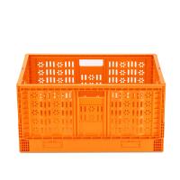 China PP Transfer Vented Mesh Collapsible Plastic Vegetable Box for Easy Logistic Handling for sale