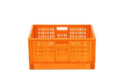 Cina Portacestini in plastica a maglia di tipo vegetale impilabile 600x400x300mm in vendita