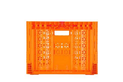 Cina Portacestini in plastica a maglia di tipo vegetale impilabile 600x400x300mm in vendita