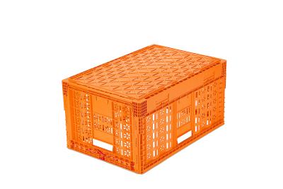 Cina Portacestini in plastica a maglia di tipo vegetale impilabile 600x400x300mm in vendita