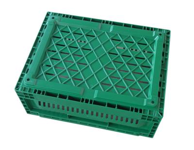 Cina Cassa di plastica pieghevole per il riutilizzo di prodotti agricoli in PP vergine in vendita