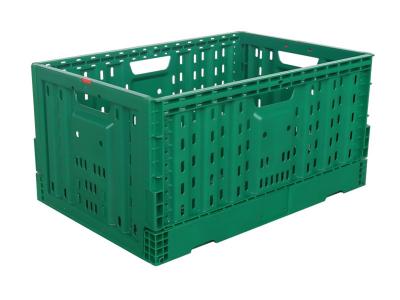 Cina Cassa di plastica verde di 600x400x300 mm pieghevole in maglia di PP per la conservazione di frutta e verdura in vendita