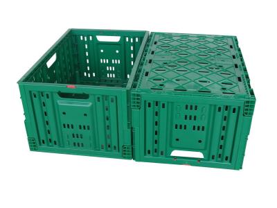 Cina Cassa di plastica verde di 600x400x300 mm pieghevole in maglia di PP per la conservazione di frutta e verdura in vendita