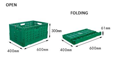 Cina Cassa di plastica verde di 600x400x300 mm pieghevole in maglia di PP per la conservazione di frutta e verdura in vendita