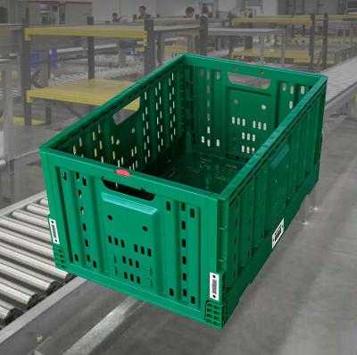 Cina Cassa di plastica verde di 600x400x300 mm pieghevole in maglia di PP per la conservazione di frutta e verdura in vendita