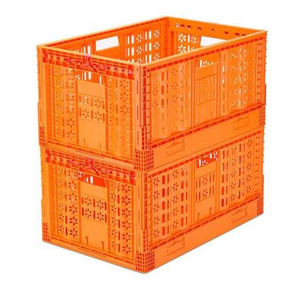Cina Contenitori di materiale PE per la conservazione di ortaggi e frutta in vendita