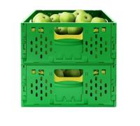 China PP Material Foldable Poultry Egg Turnover Basket for Easy Meat Storage and Processing for sale