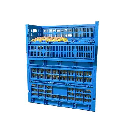 Cina Cassa di pollo in plastica a maglia pieghevole con scatola di stoccaggio per pollame in PP blu in vendita