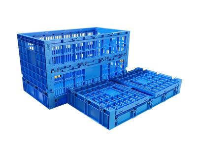 Cina Cassa di pollo in plastica a maglia pieghevole con scatola di stoccaggio per pollame in PP blu in vendita