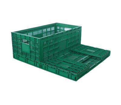 Cina Cassa di pollo in plastica a maglia pieghevole con scatola di stoccaggio per pollame in PP blu in vendita