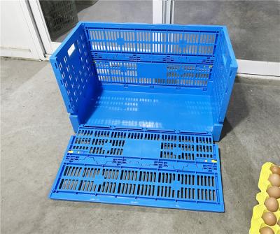 China Opvouwbare gaaskastjes en plastic dozen voor het gemakkelijk vervoeren van eieren Te koop