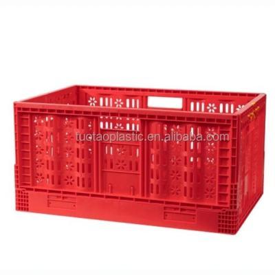 Cina Cassa pieghevole pieghevole in 600x400 mm Perfetta per lo stoccaggio di frutta e verdura in vendita