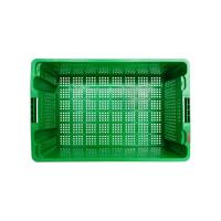 China Vented Collapsible Plastic Storage Crate for Durable and Lightweight Storage for sale