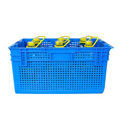 Cina La scatola di plastica è la soluzione perfetta per il trasporto delle uova nel magazzino logistico in vendita