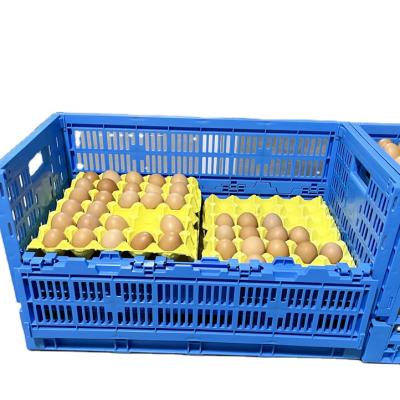 Cina Cassa di uova in plastica di PP pieghevole per il trasporto in pollame in vendita