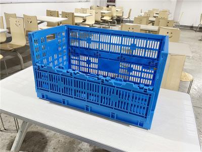 Cina Cassa di uova in plastica di PP pieghevole per il trasporto in pollame in vendita