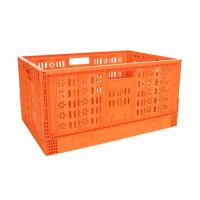China PE Storange Collapsible Folding Crate for Moving and Stacking Fruit Vegetable Baskets for sale