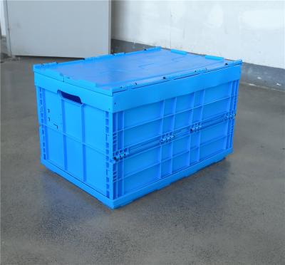 Cina Casella di plastica pieghevole in materiale PE per lo stoccaggio sicuro e conveniente dei frutti di mare in vendita