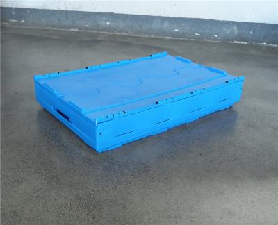 Cina Casella di plastica pieghevole in materiale PE per lo stoccaggio sicuro e conveniente dei frutti di mare in vendita