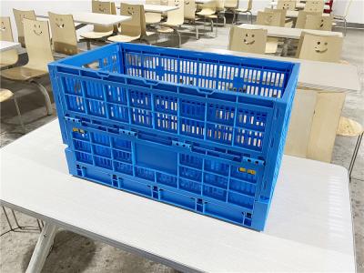 Cina Scatole pieghevoli per casse di uova a maglia in PP-PE in vari colori per il raccolto agricolo in vendita