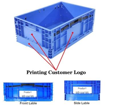 China Opvouwbare plastic container herbruikbare en ruimtebesparende oplossing voor verplaatsingsbehoeften Te koop