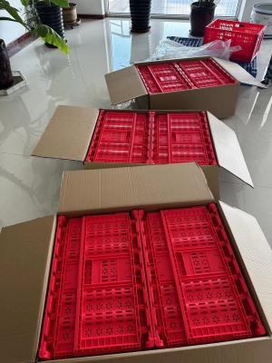 中国 メッシュスタイル 農業 折りたたむ式 PP 果物 菌類 野菜 保存 耐久性 販売のため