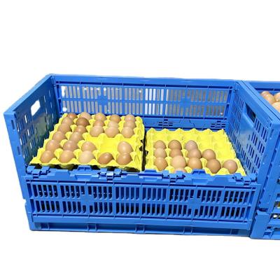 China PE/PP Material de malha de estilo de EQG dobrável Container perfeito para armazenamento e transporte à venda