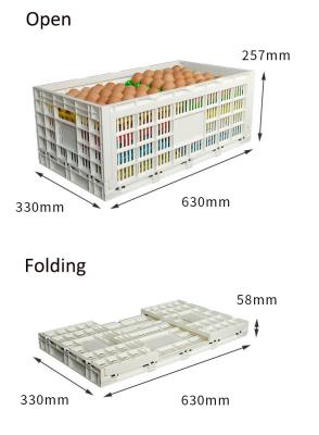 中国 PE/PP素材 メッシュスタイル 折りたたみ可能なEGGコンテナ 保存と輸送に最適 販売のため