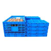 China Foldable and Collapsible Egg Crate Meshy Box for Convenient Egg Transportation Solutions for sale