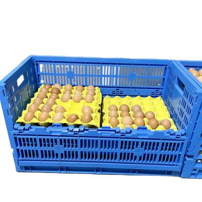 China Opvouwbare en opvouwbare eierkist meshbox voor handige eierentransportoplossingen Te koop