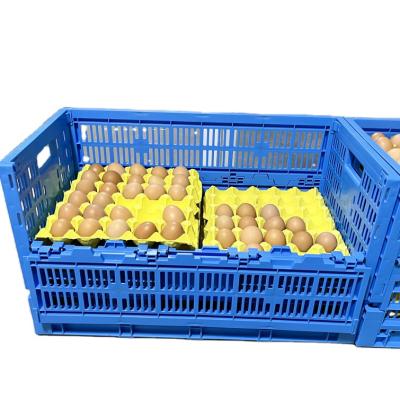 中国 オーダーメイド ロゴ 青い卵 貯蔵ボックス 冷蔵庫 現代のチキングリッド 引き出し タイプ 販売のため
