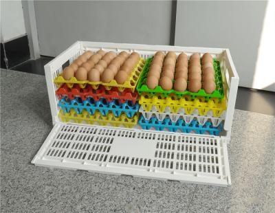 中国 オーダーメイド ロゴ 青い卵 貯蔵ボックス 冷蔵庫 現代のチキングリッド 引き出し タイプ 販売のため