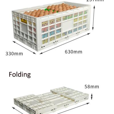 China PE-materiaal Persoonlijke plastic eierenbak voor voedselopslagcontainer Te koop