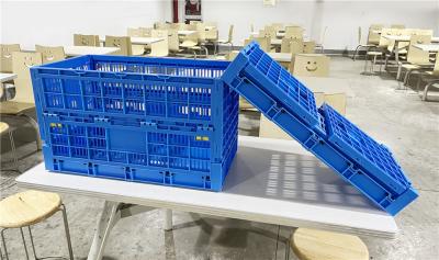 China PE-materiaal Persoonlijke plastic eierenbak voor voedselopslagcontainer Te koop