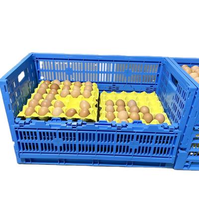 Cina Cassa piatta in plastica verde in PP, piatta in birra, vino e latte, con capacità di stoccaggio in vendita