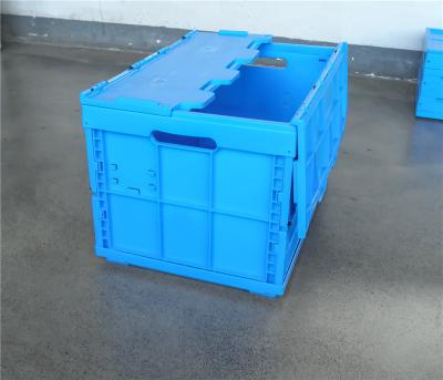 Cina Casella di trasloco in plastica in PE mesh per un'organizzazione conveniente di frutta e verdura in vendita